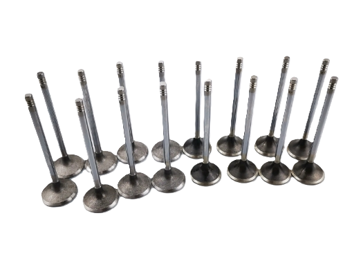 engine system exhaust valve C00014557 for LDV MAXUS T60, MAXUS V80 SAIC ...