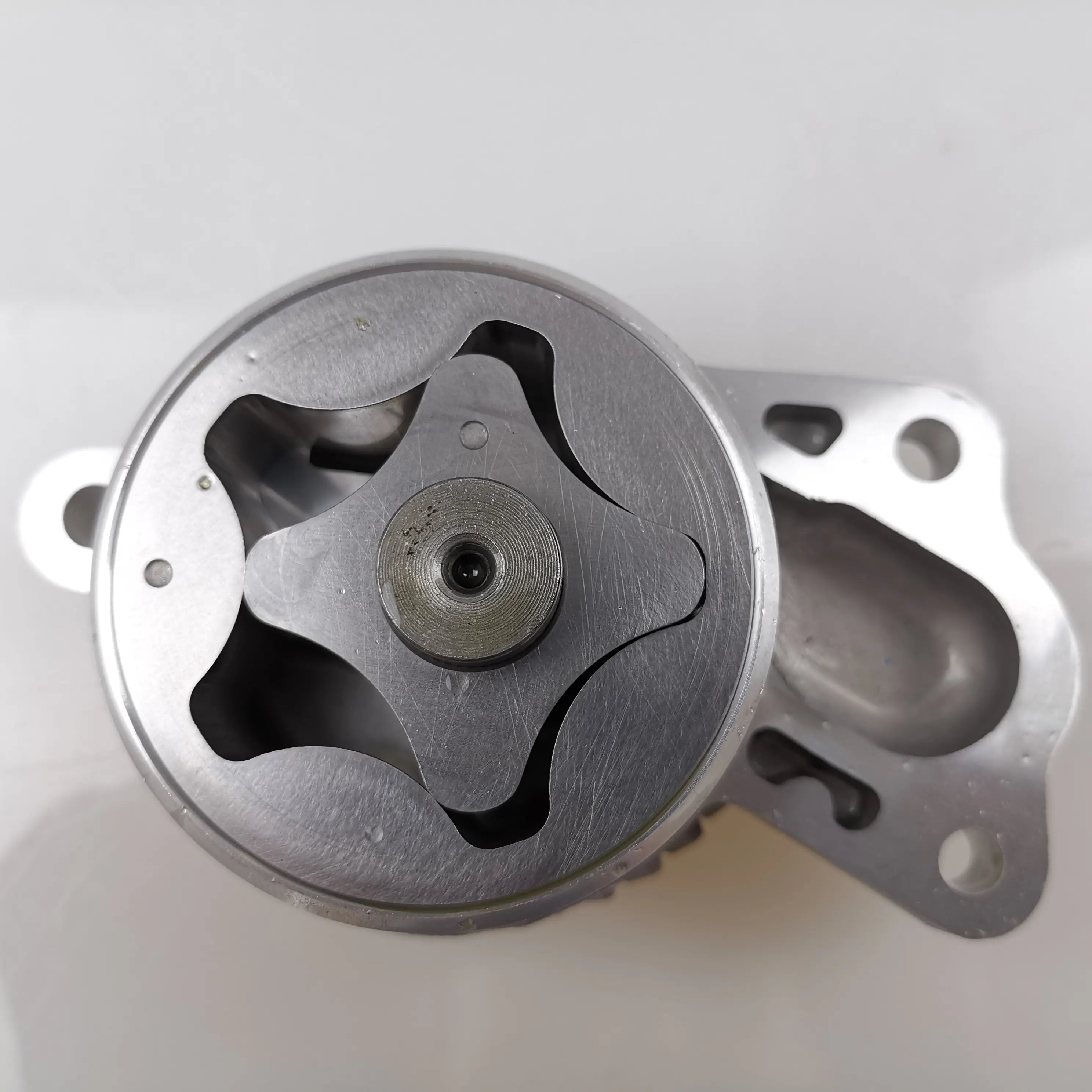 MAXUS V80, T60 C00100381 Original Oil Pump